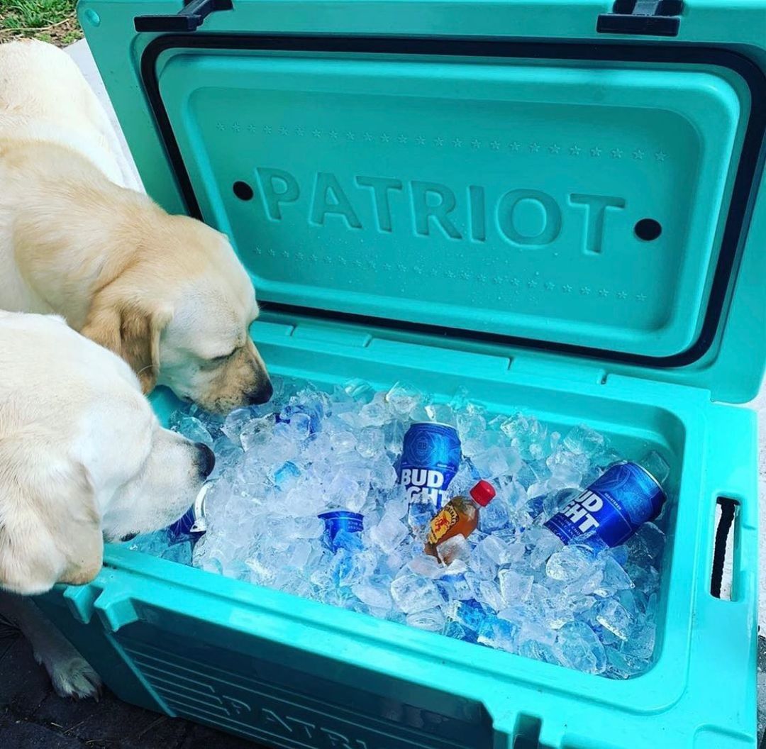 Red, White, and Brew: Craft Beer Pairings for Your Labor Day Weekend C ...